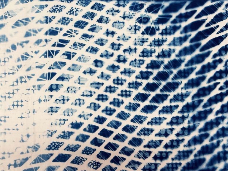 Soak Up the Sunshine: How to Make Unique Cyanotype Fabric Prints – The ...