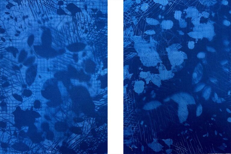 Soak Up the Sunshine: How to Make Unique Cyanotype Fabric Prints – The ...