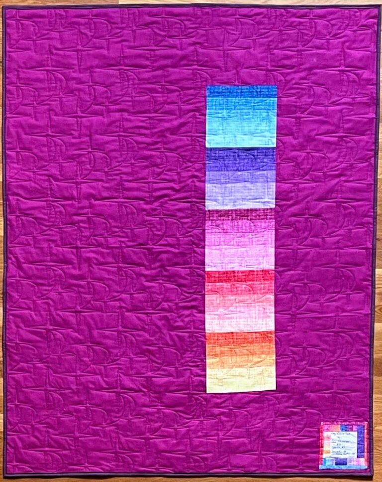 Celebrate Backwards Day With These Dynamic Quilt Backs! – The (not so ...